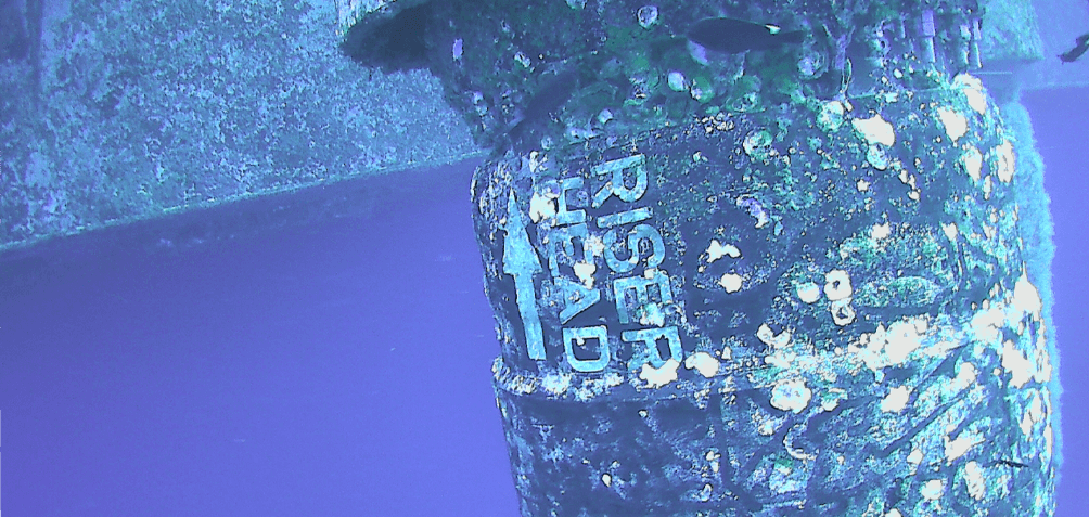 Flexible Risers | Trusted, Effective Subsea Inspection Services